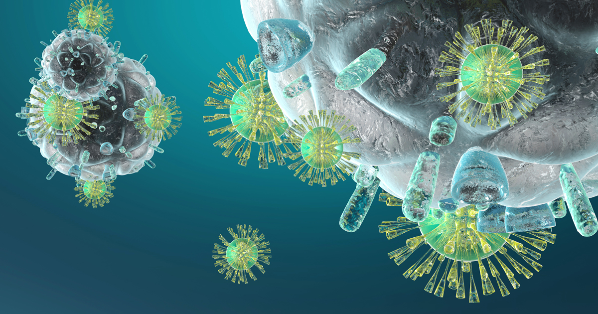 How Does The Immune System Work When It Comes To Cancer CTCA How Does The Immune System Work When It Comes To Cancer CTCA
